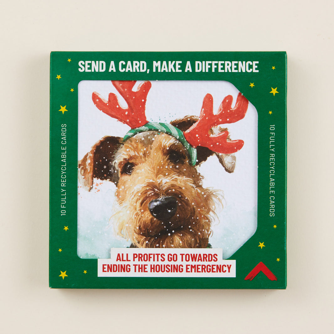 Animal Christmas Cards | Charity Christmas Cards | Shelter Online Shop ...